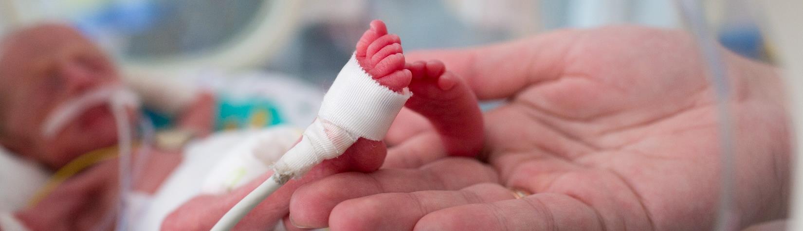 Neonatal Transfusion Network (NTN) - International Haemovigilance Network